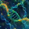 Understanding the COMT SNP: What It Is, Fast vs. Slow COMT, and Natural ...